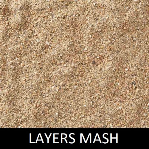 Layers Mash - 5Kg - HoofsandPaws Online