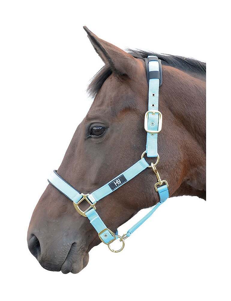 Hy Deluxe Padded Head Collar - Bright Blue