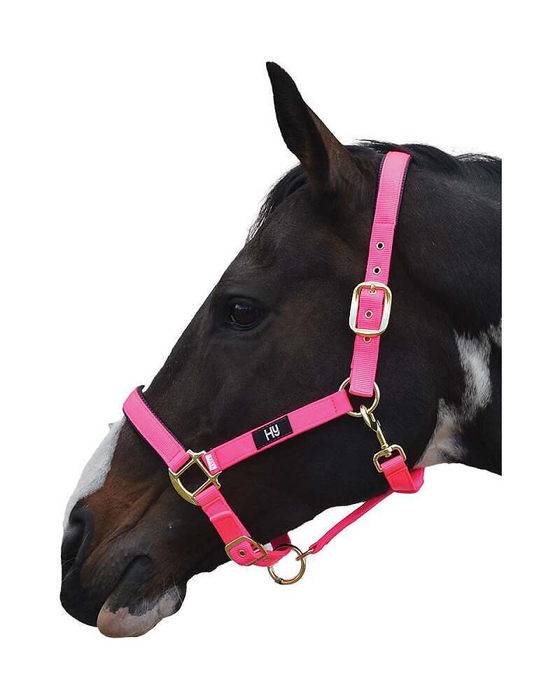 Hy Grand Prix Head Collar - Hot Pink - HoofsandPaws Online